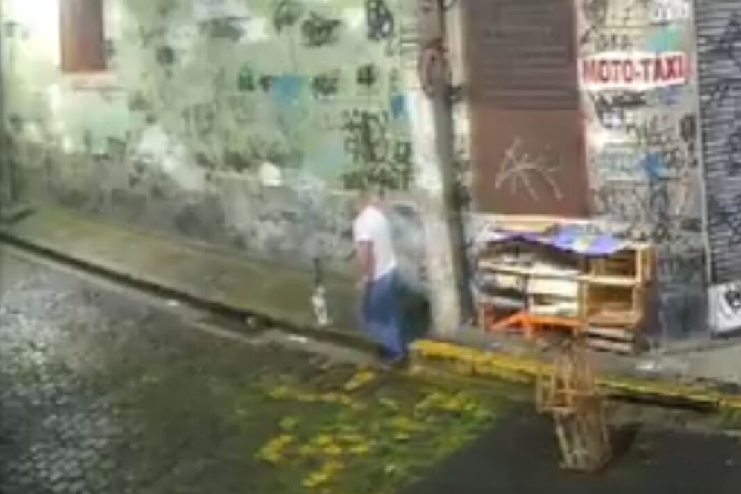 Rio: homem é preso após ser flagrado espancando gatos na rua. Vídeo ...