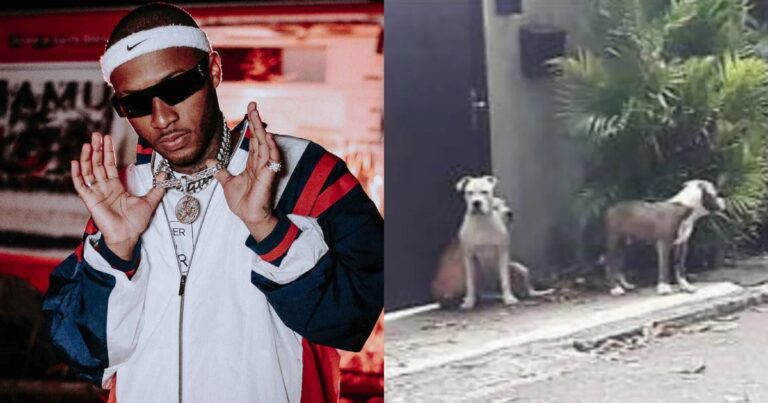 Justiça mantém condenação do rapper Orochi em caso envolvendo cachorros ...