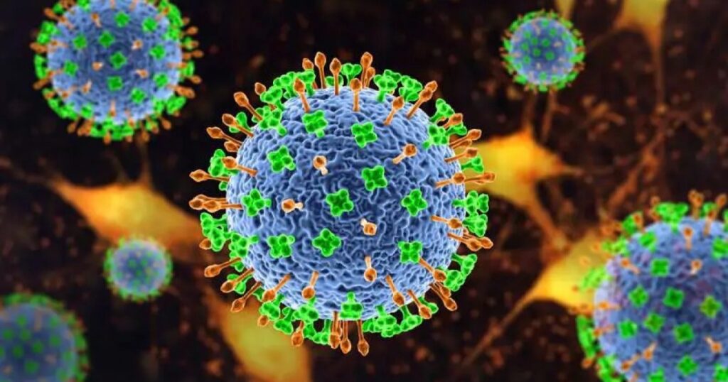 Índia entra em estado de emergência em surto do vírus letal Nipah e ...